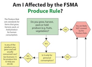 Updated Resources: Food Safety Modernization Act Flow Chart