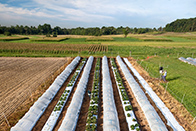 GroupGAP Offers Affordable Certification Option for Small and Mid-sized ...