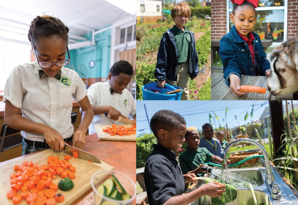 New Report Highlights Successes of Farm to School Grantmaking ...