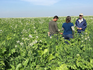 $260 Million Available for Regional Conservation Partnerships ...