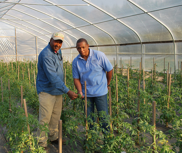 High Tunnels Create Opportunities for New Farmers - National ...