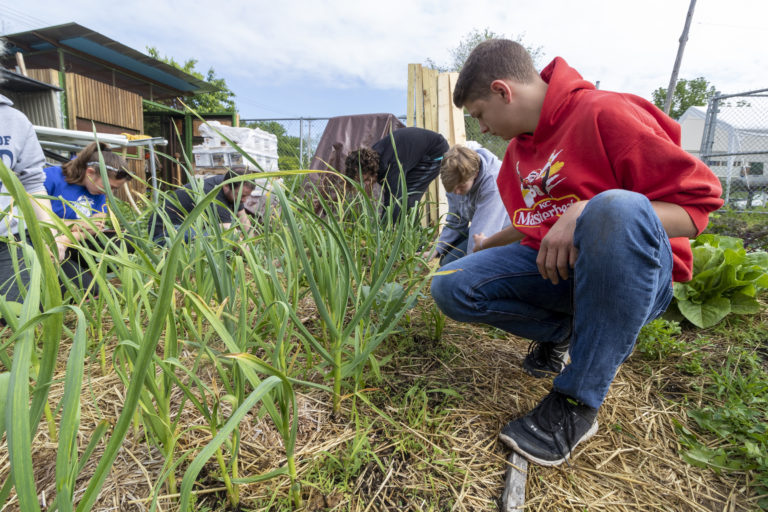 Farm to School Advocates Kick Off Farm to School Month in DC!