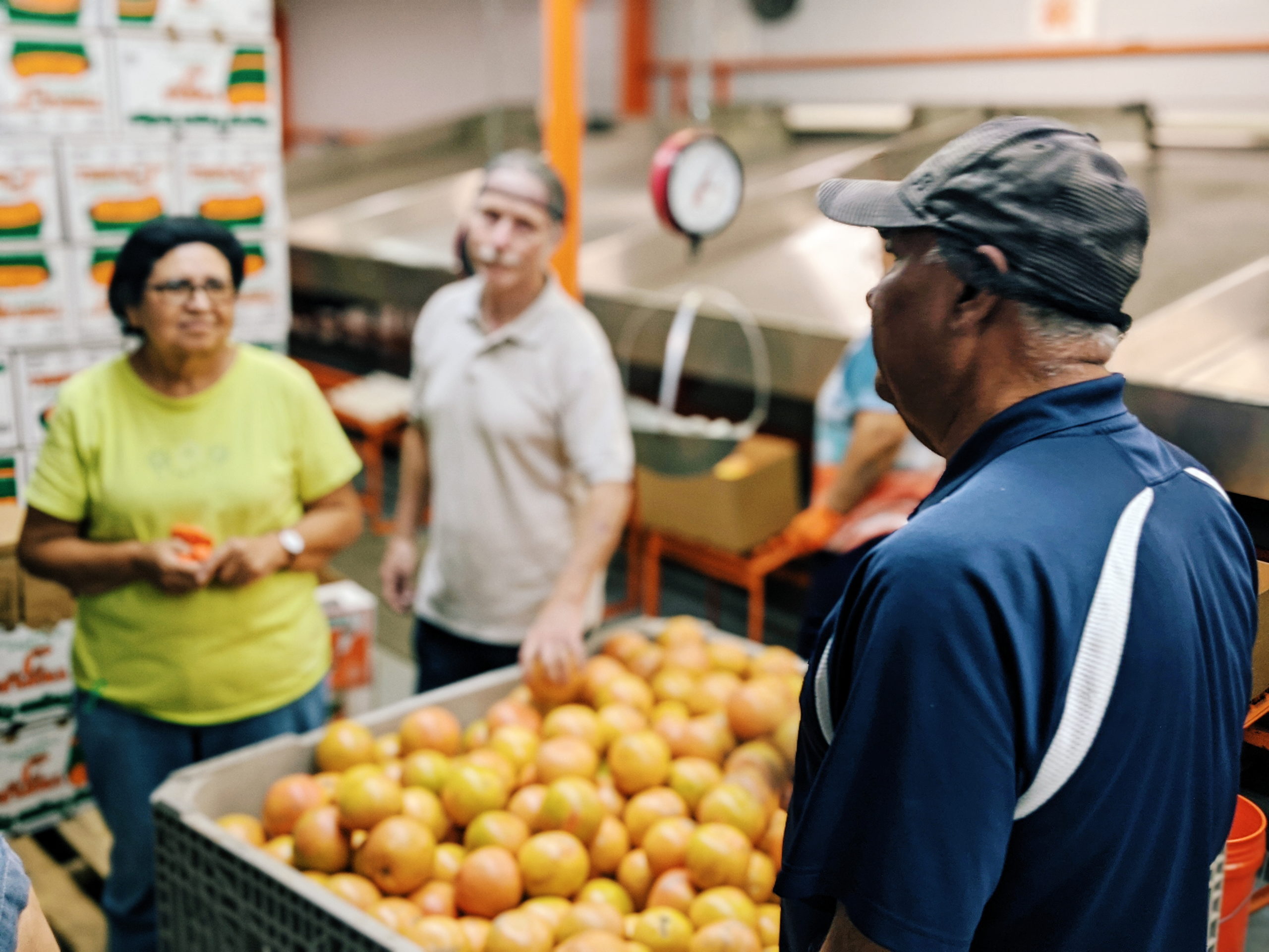 Inaugural Regional Food Systems Partnership Program Funding Opportunity ...