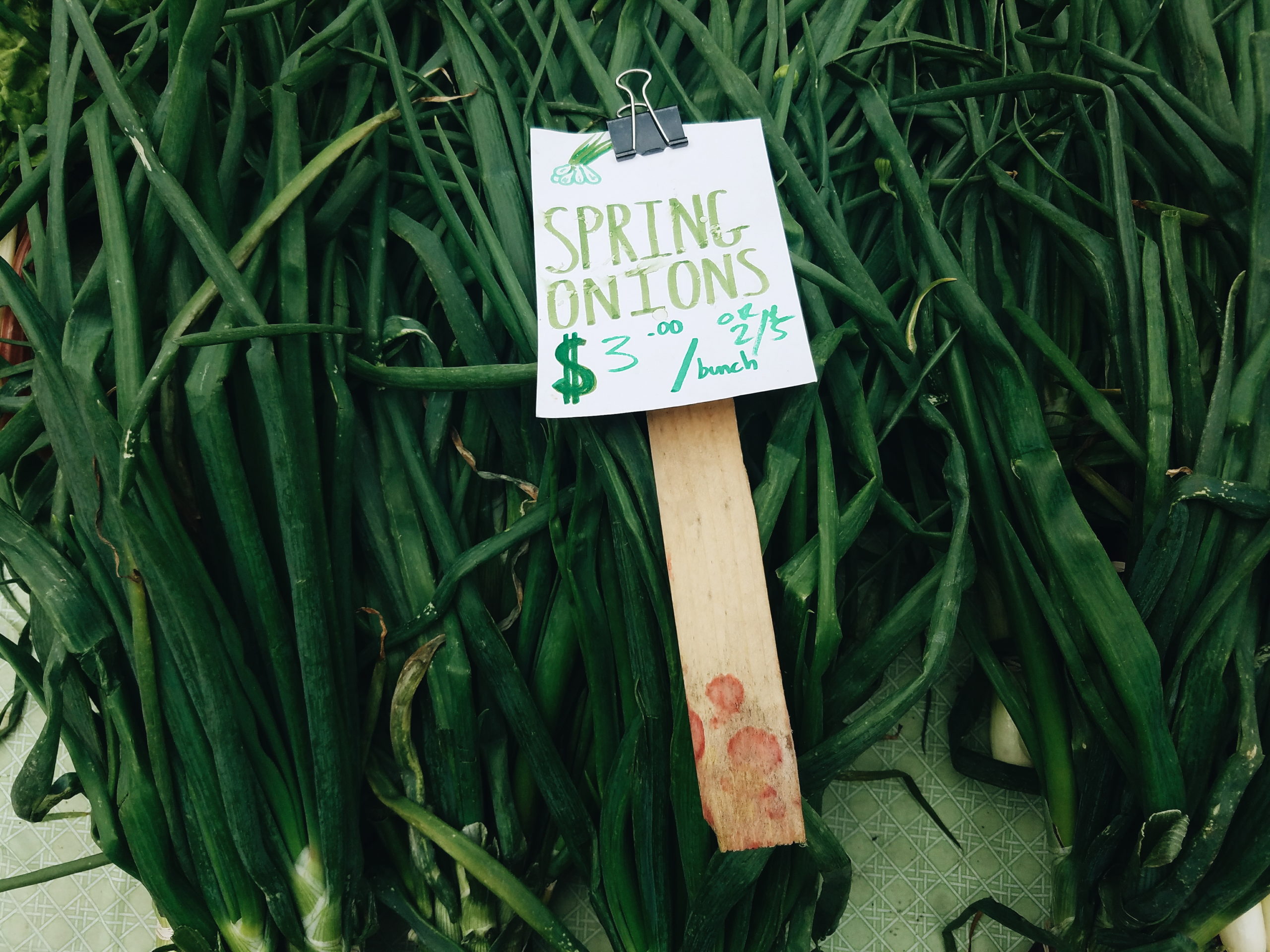 What Farmers Need to Know About the USDA COVID-19 Aid Program Opening ...