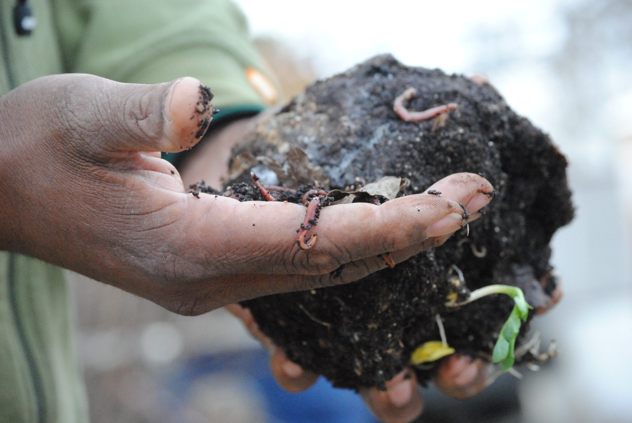 Regional Conservation Partnership Program: Funding Available and Awards