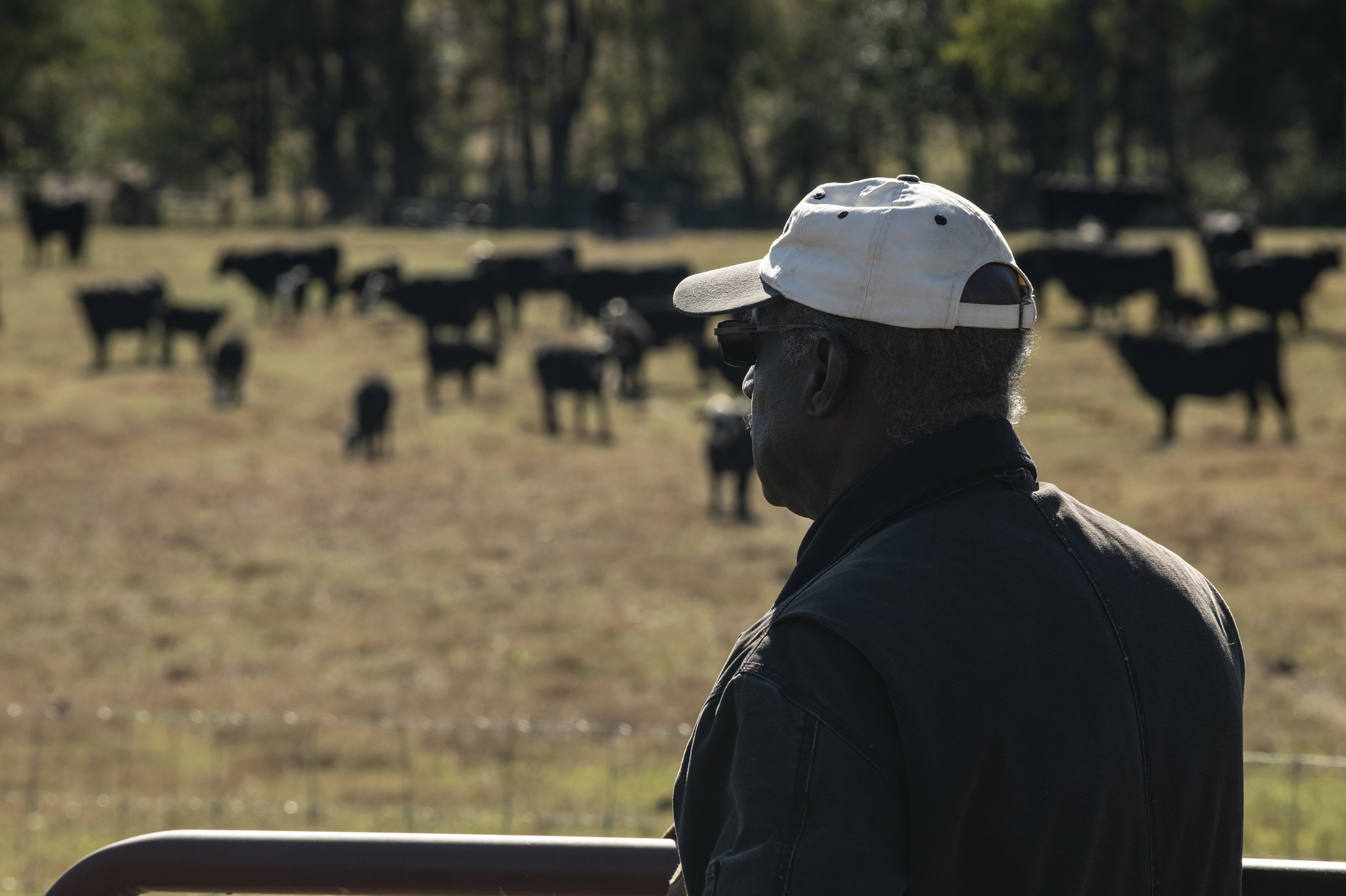 Farm Debt Relief Now Available for BIPOC Producers - National ...