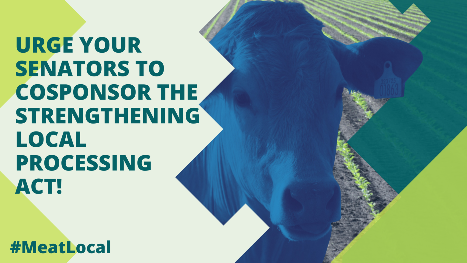 Ask your Members of Congress to co-sponsor the Strengthening Local ...