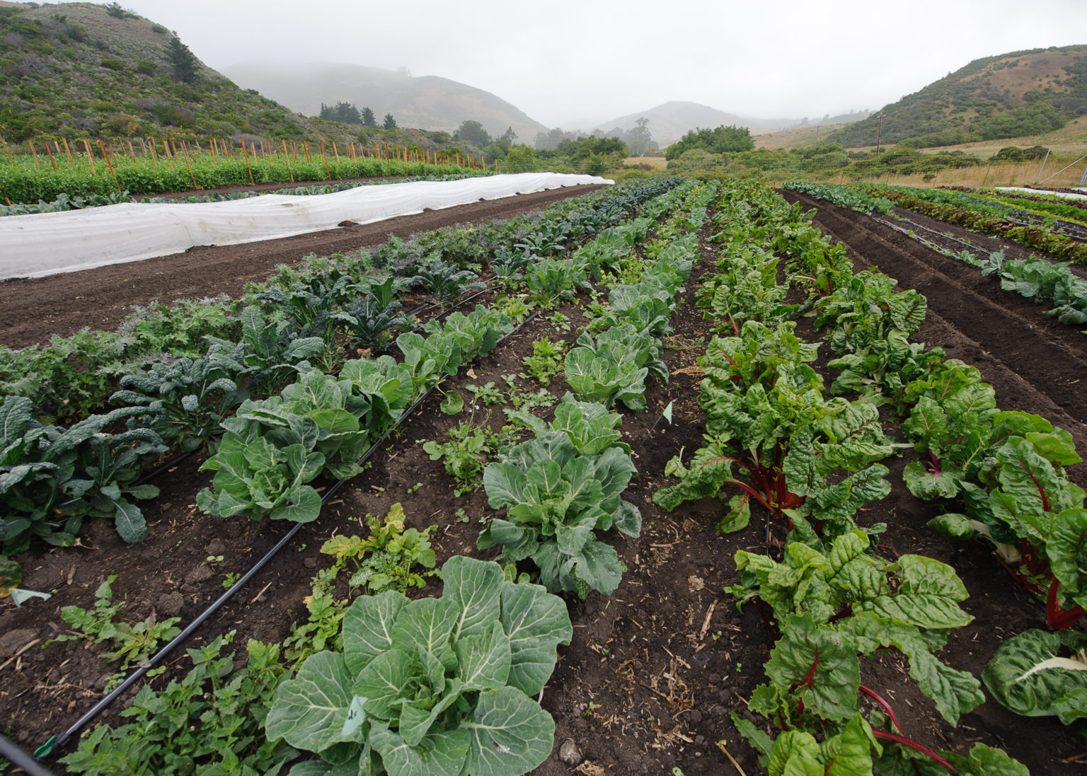 President Biden’s First Budget Request and Sustainable Agriculture ...