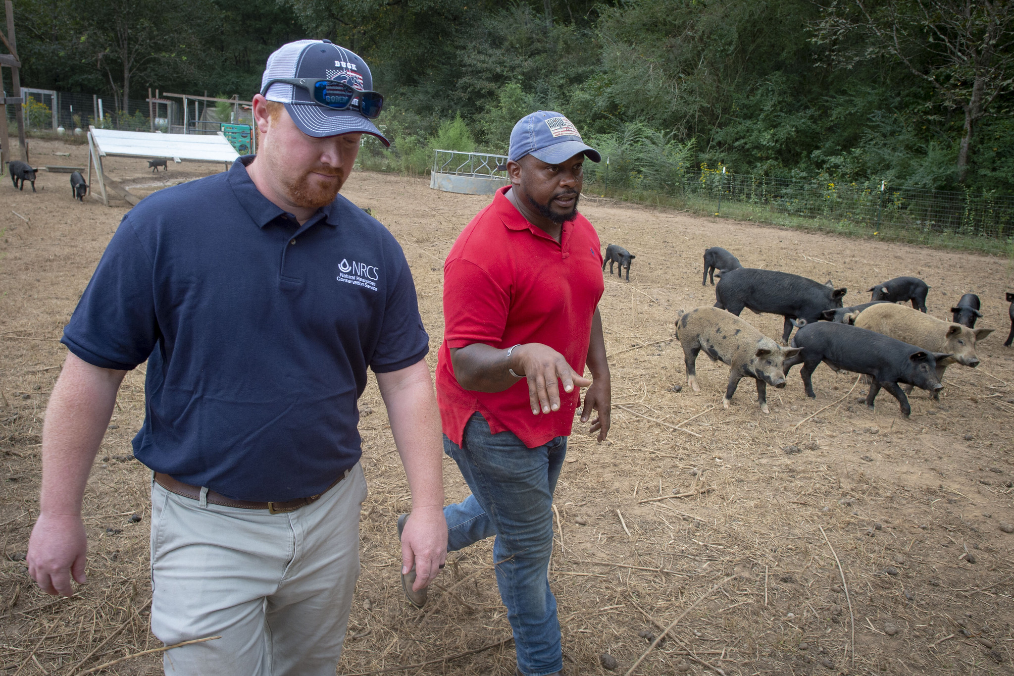 UPDATE: EXTENSION ON USDA REQUEST FOR COMMENT ON RACIAL JUSTICE AND ...