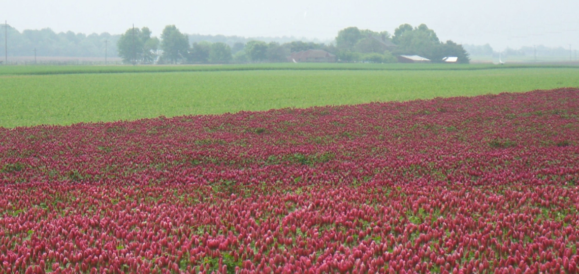 National Sustainable Agriculture Coalition - Supporting the economic ...