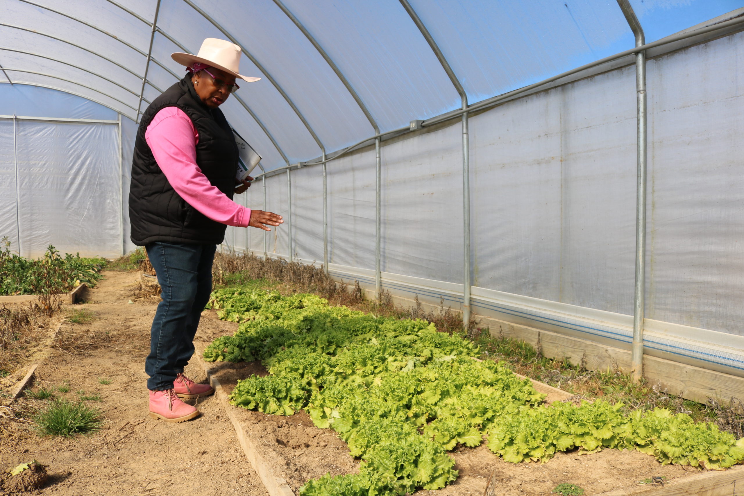 Advancing Racial Justice and Equity Through the USDA - National ...