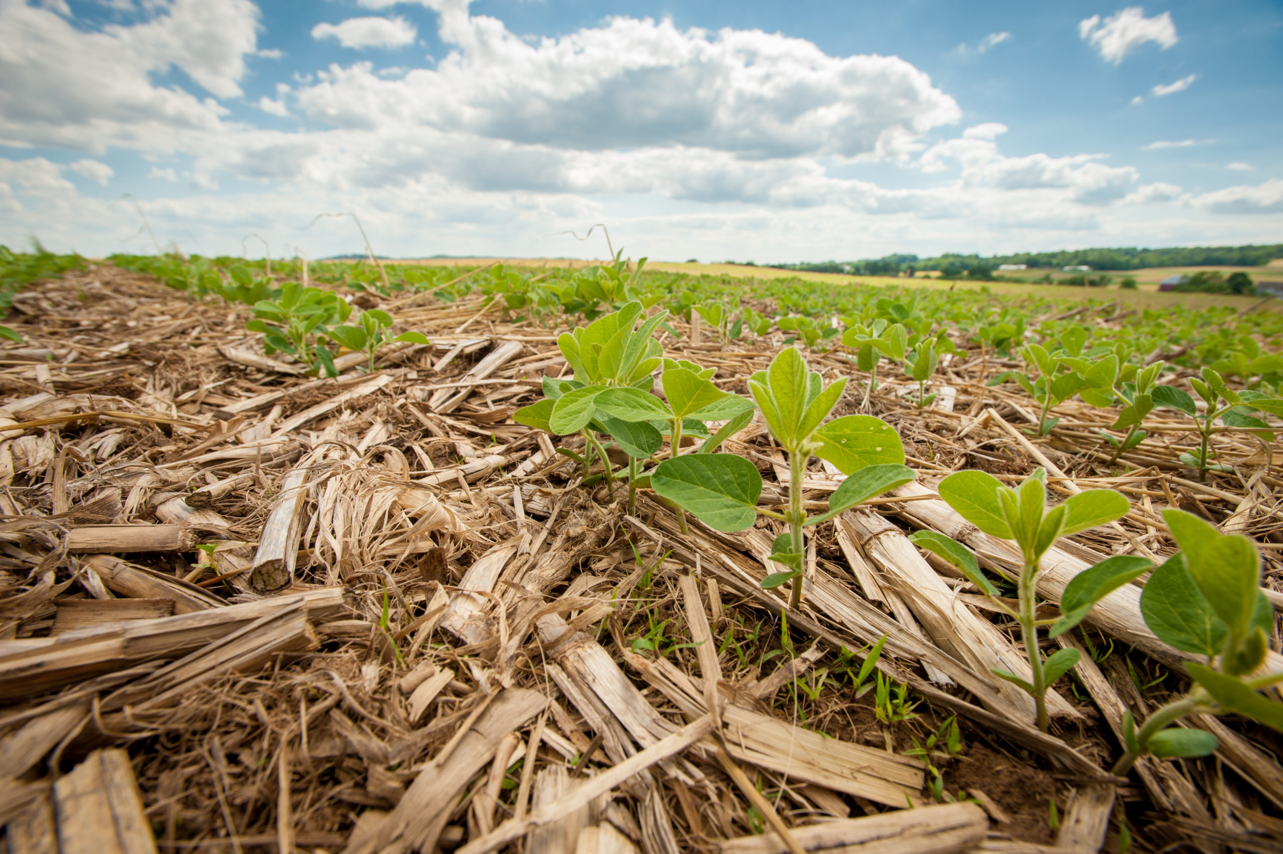 $1 billion Available for Partnerships for Climate-Smart Commodities ...