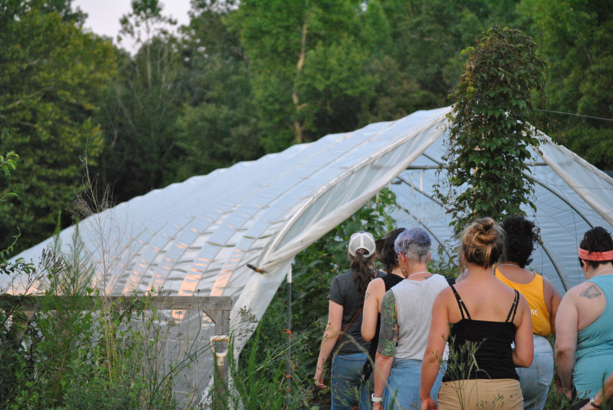 Diversified Growing: Farmers Cultivating Community and the Necessity of ...