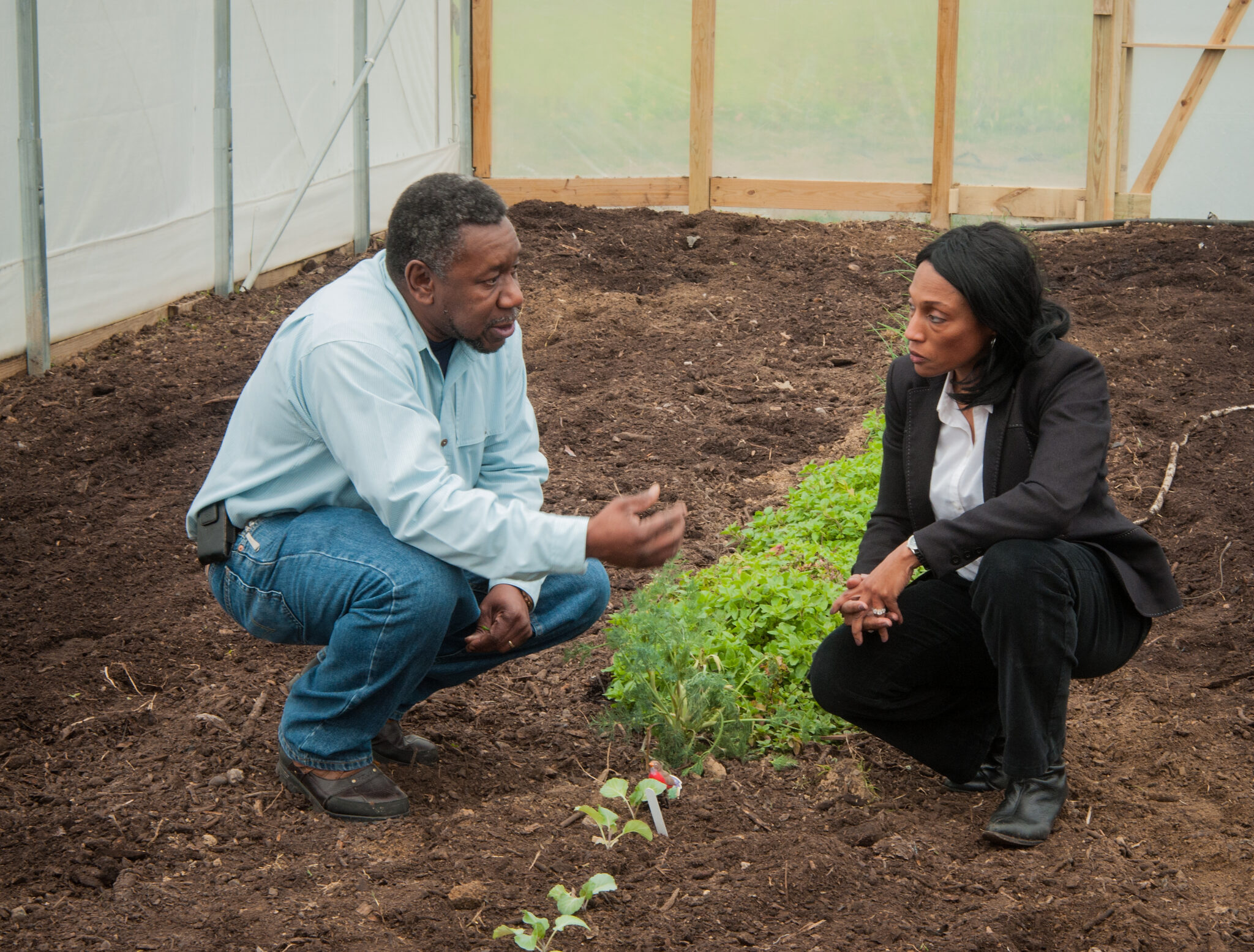 Funding available for rural farmers and cooperatives - National ...