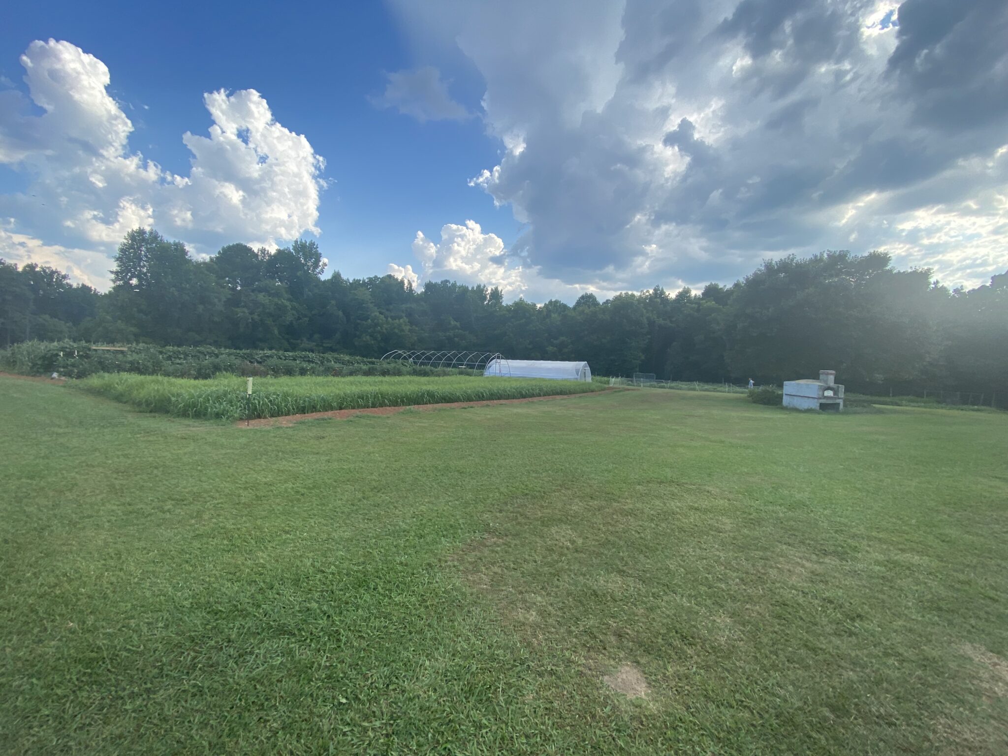 What the Expiration, and Likely Extension, of the 2018 Farm Bill Means ...