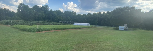 National Sustainable Agriculture Coalition - Supporting the economic ...