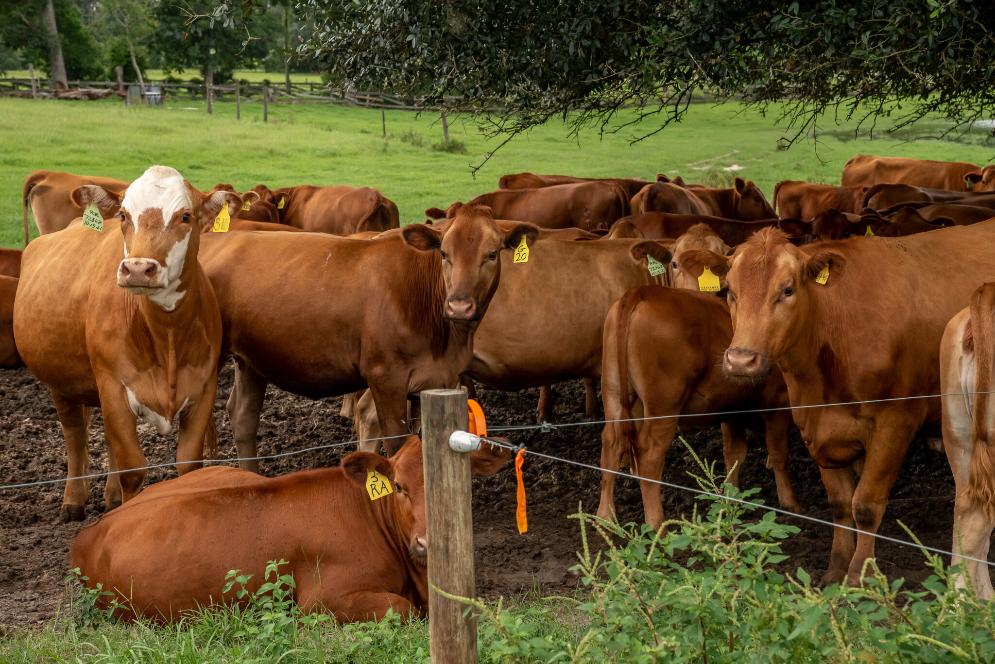 Farmer Conservation Stories: Why Inflation Reduction Act Funding Must ...