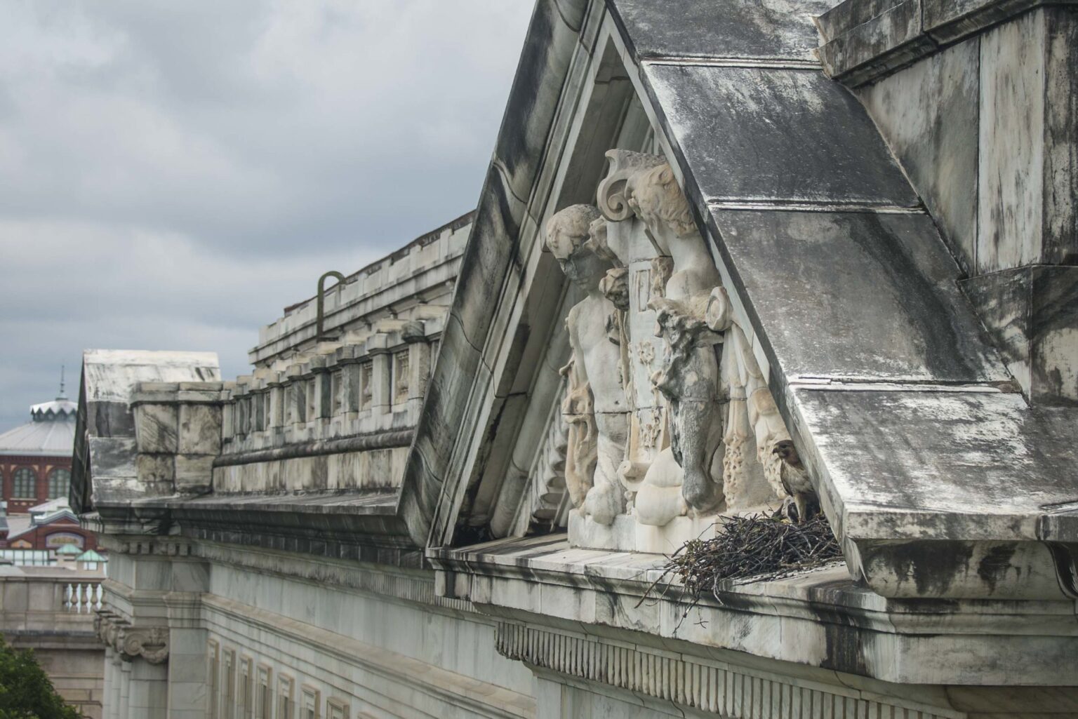 USDA Staffing Cuts Hurt Farmers and Rural Communities - National ...